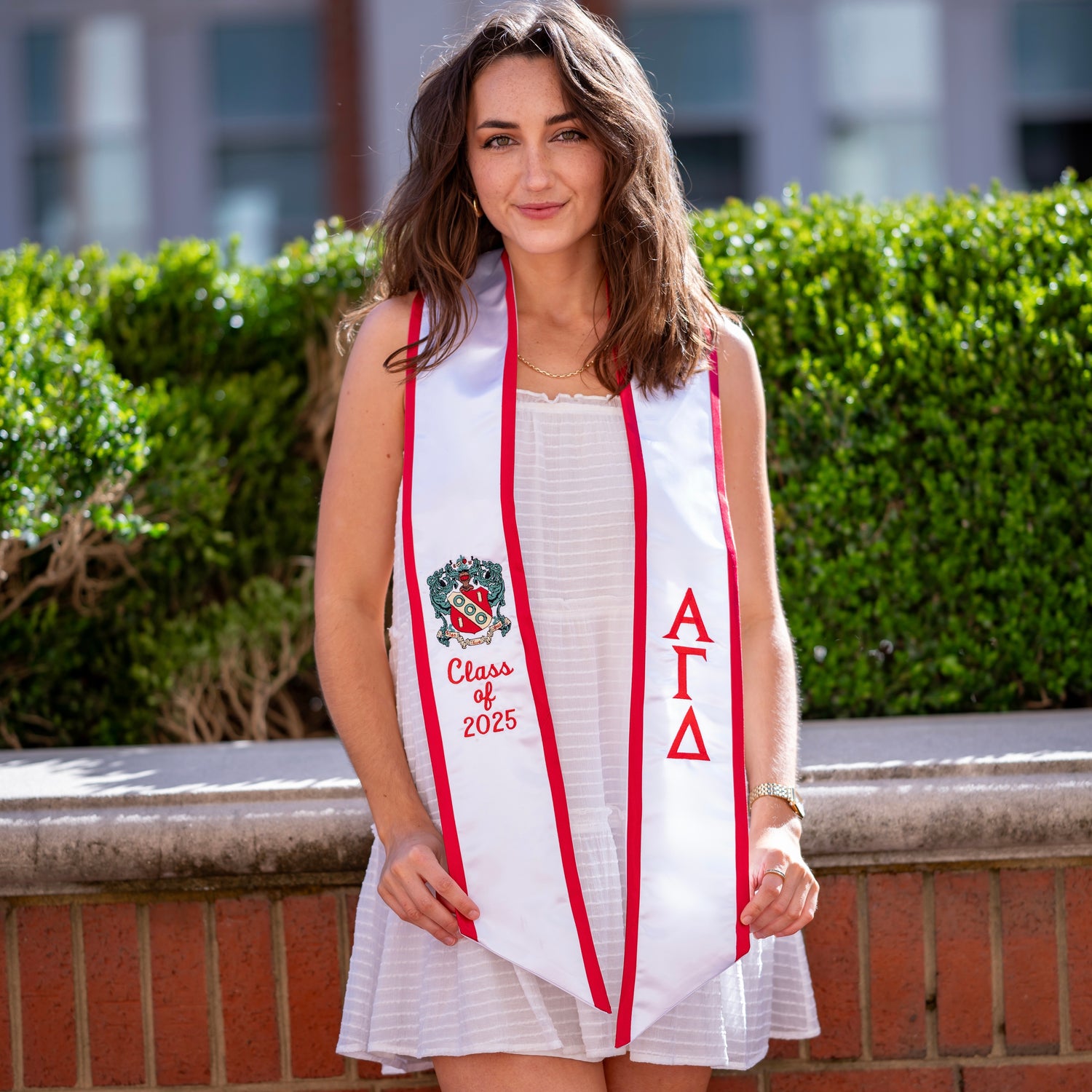 Custom Alpha Gamma Delta Crest Greek Letter Sorority Graduation Stole ...