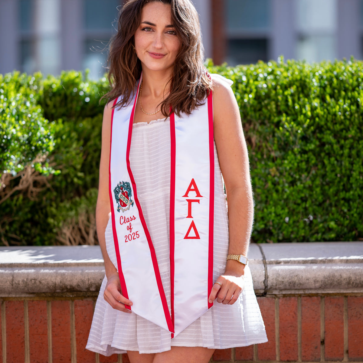 Custom Alpha Gamma Delta Crest Greek Letter Sorority Graduation Stole ...