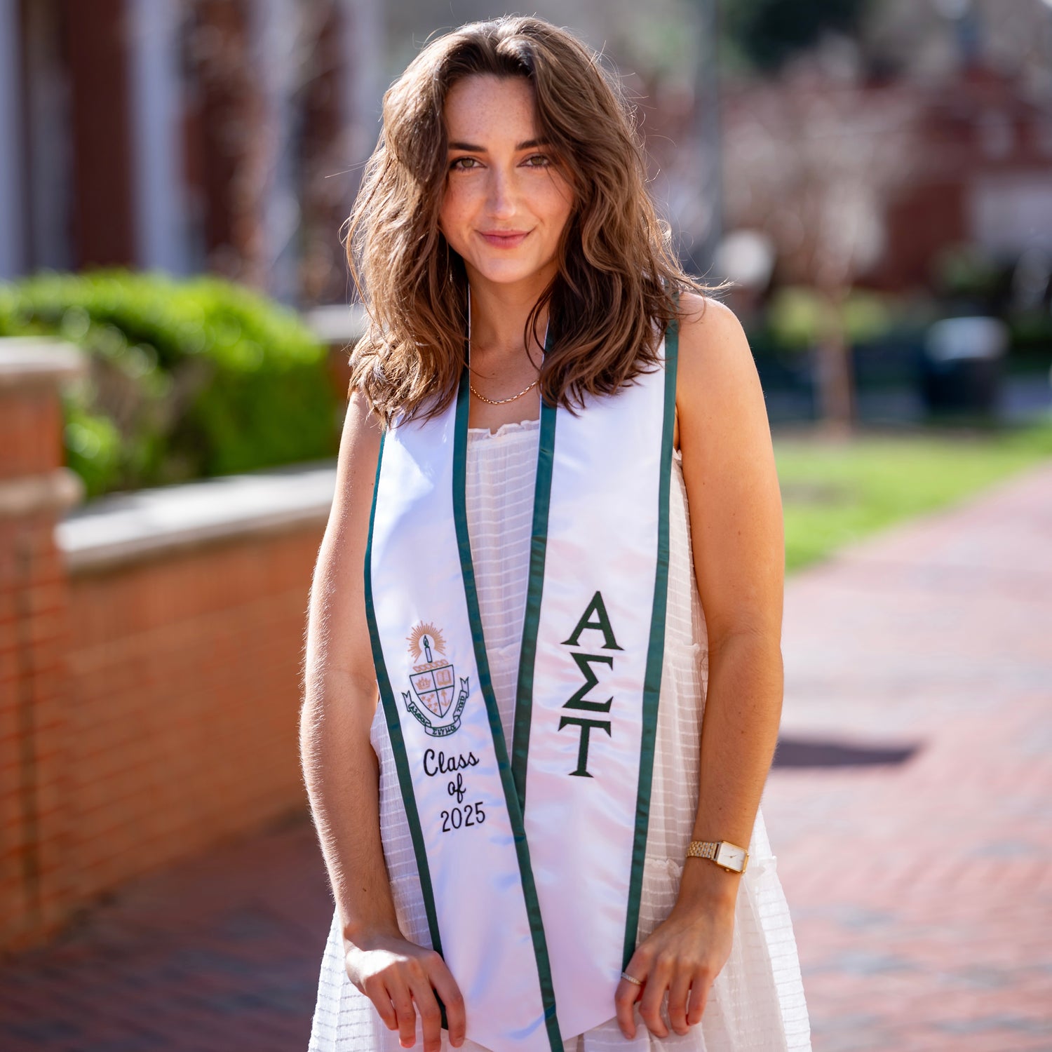 Custom Alpha Sigma Tau Crest Greek Letter Sorority Graduation Stole ...