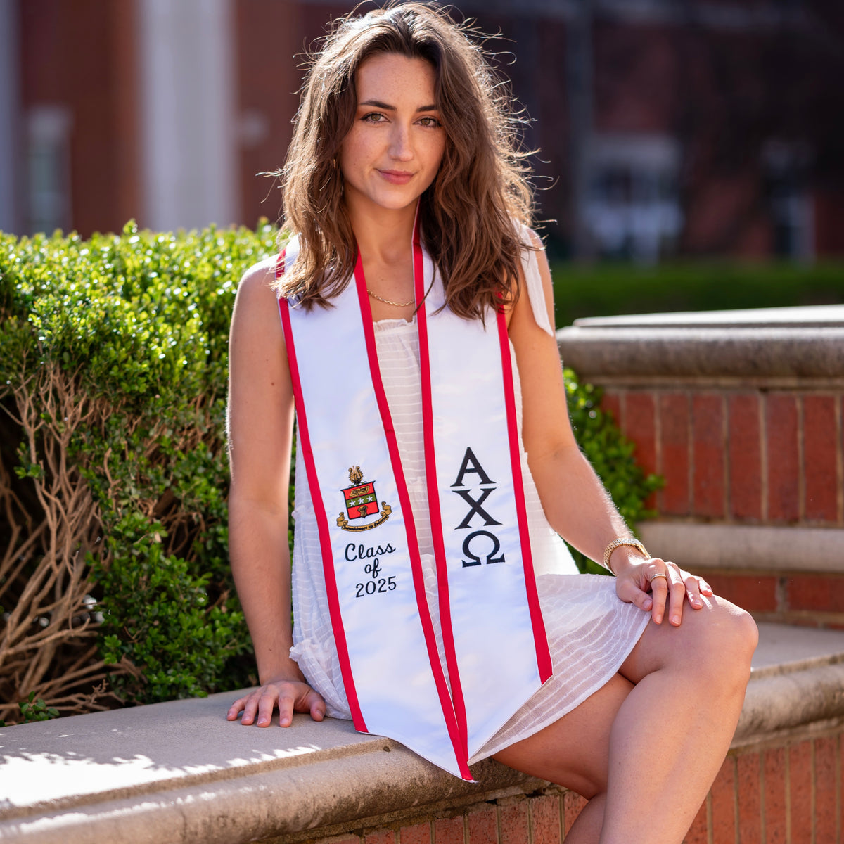 Custom Alpha Chi Omega Crest Greek Letter Sorority Graduation Stole ...