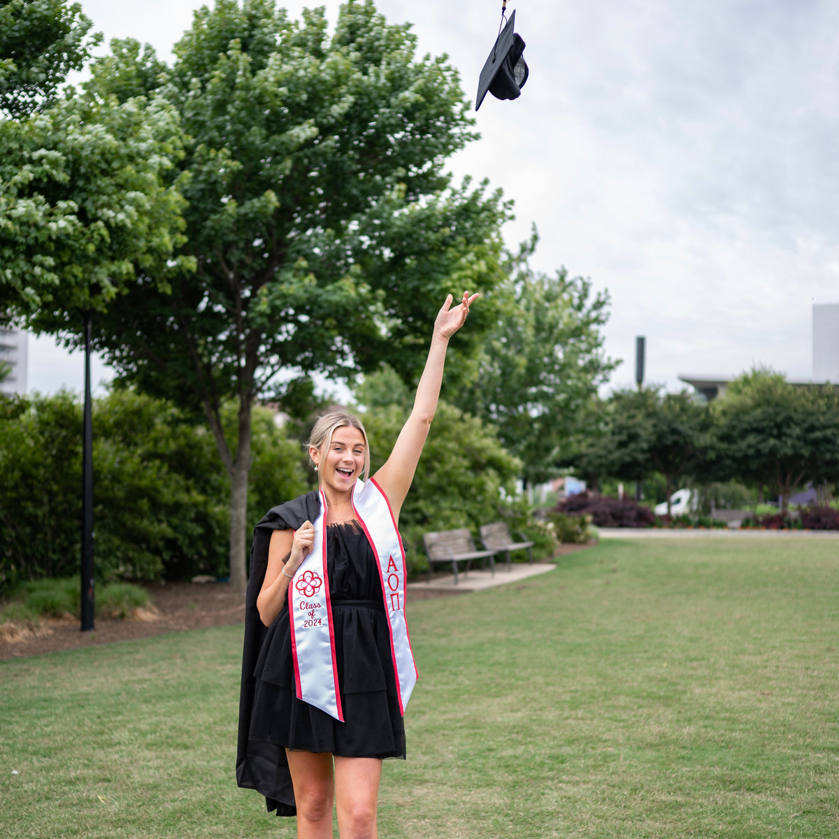Custom Alpha Omicron Pi Crest Greek Letter Sorority Graduation Stole ...