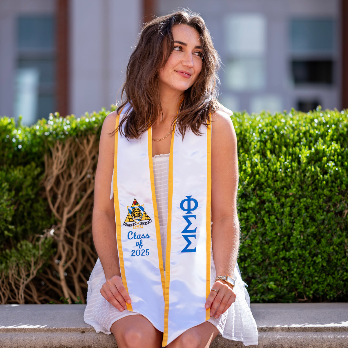 Custom Phi Sigma Sigma Crest Greek Letter Sorority Graduation Stole ...