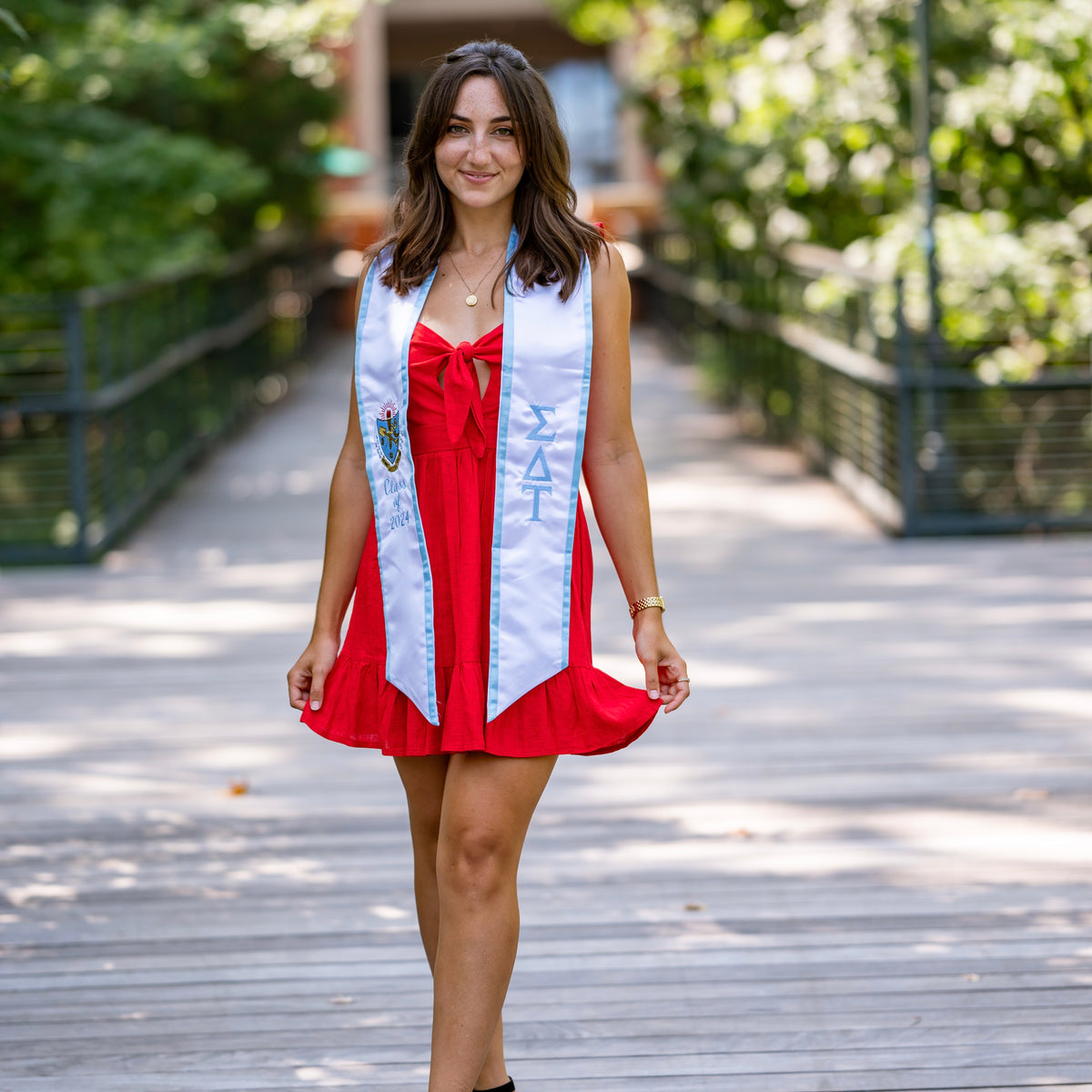 Custom Sigma Delta Tau Crest Greek Letter Sorority Graduation Stole ...