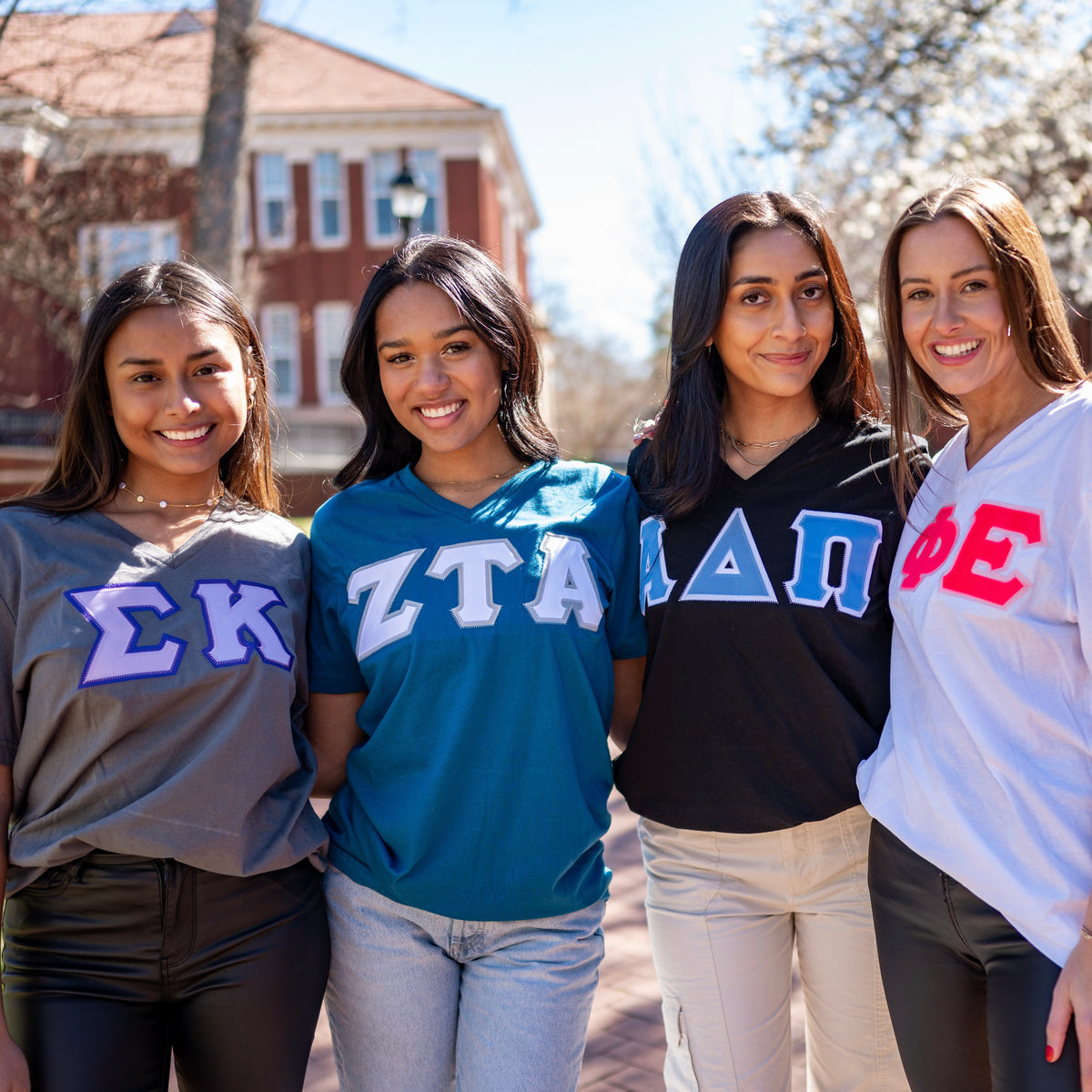 Custom Basic Sorority Greek Letter Crew Neck Bella Canvas V-Neck T ...